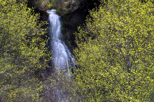 MANUEL LEMOS FOTOGRAFÍA. Recrear. Comunicar. Recordar.